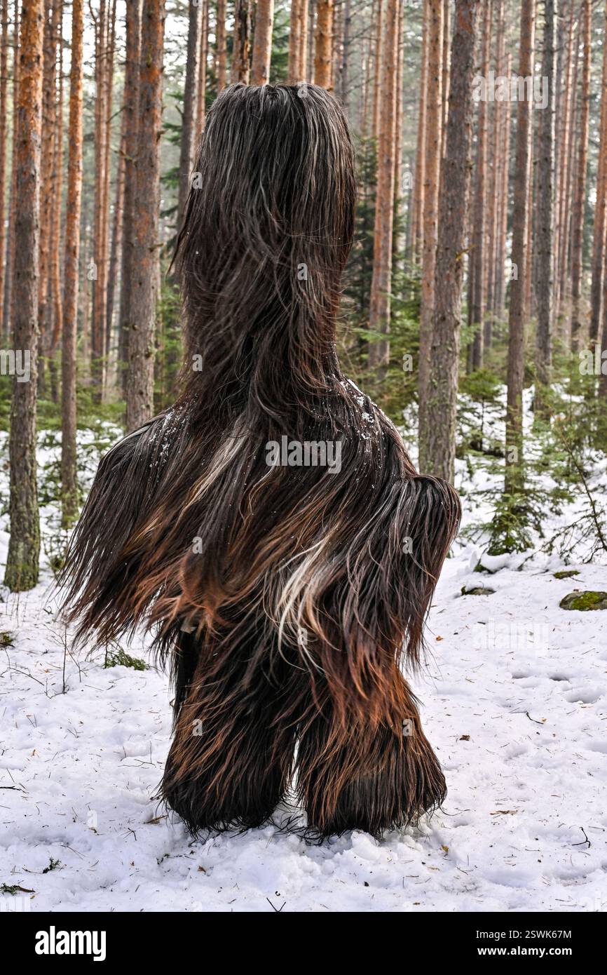 Traditional Kukeri performers dressed in thick long hair goat fur ...