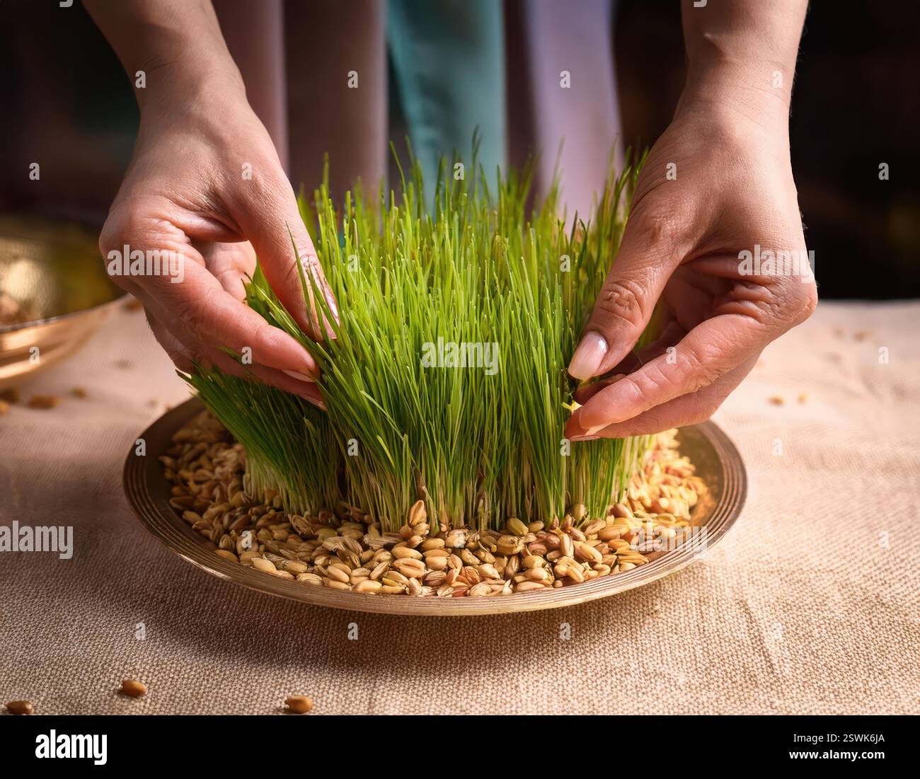 Hands carefully place fresh sabzeh on a decorative plate, symbolizing ...