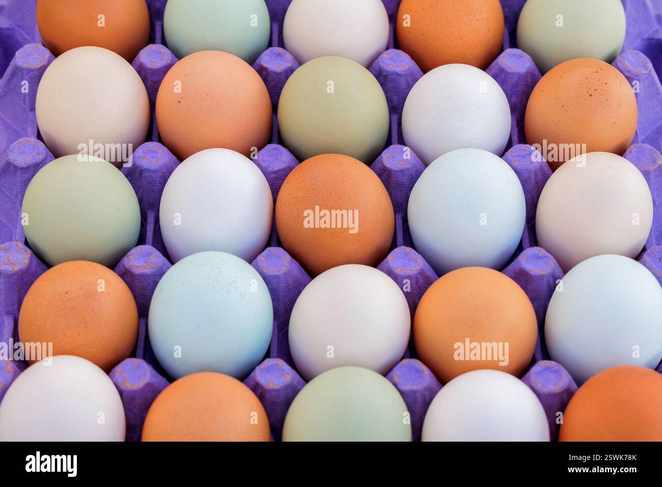 Farmers multicolored hi-res stock photography and images - Alamy