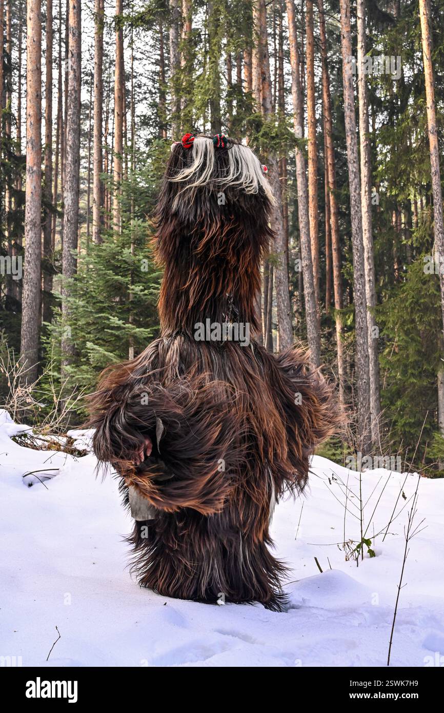 Traditional Kukeri performers dressed in thick long hair goat fur ...