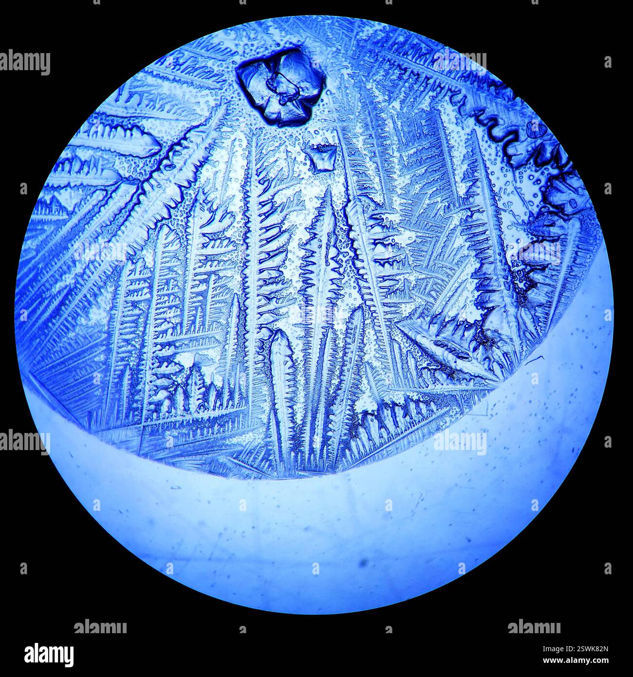 Patterns of crystals precipitated from mineral spring water, as viewed ...