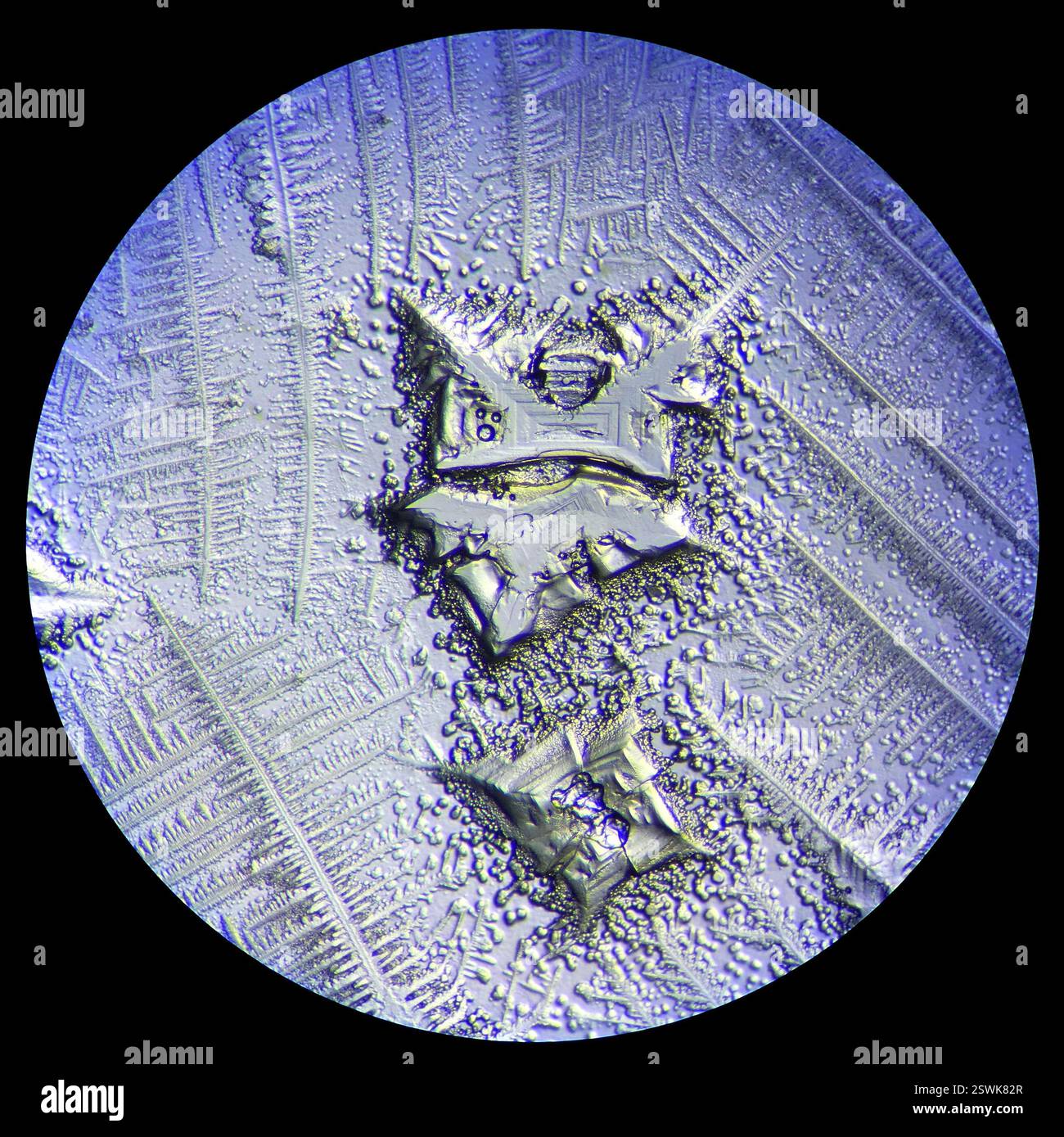 Patterns of crystals precipitated from mineral spring water, as viewed ...