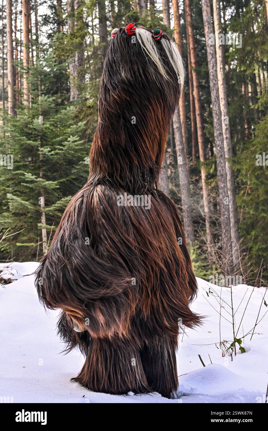Traditional Kukeri performers dressed in thick long hair goat fur ...