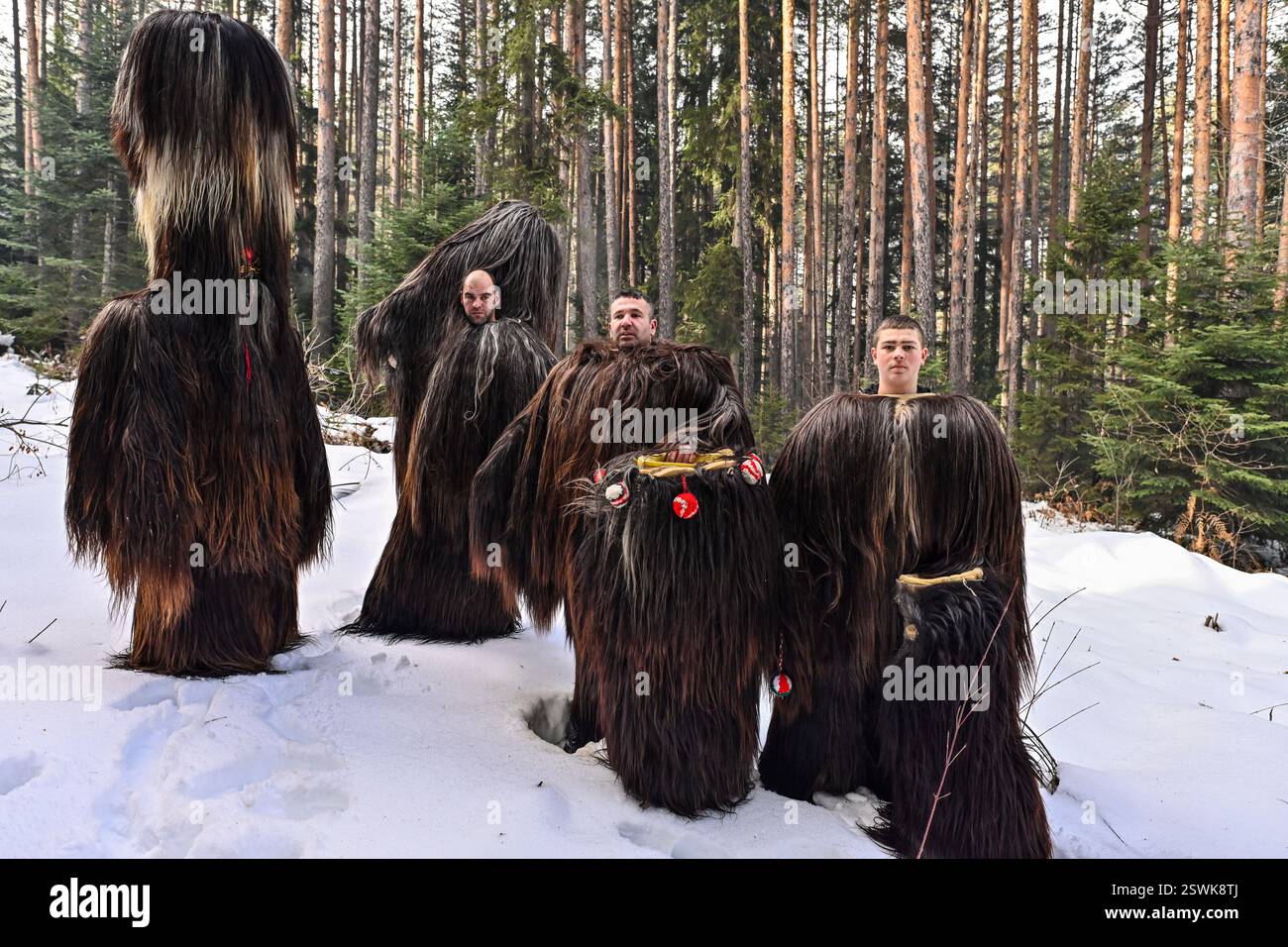 Traditional Kukeri performers dressed in thick long hair goat fur ...
