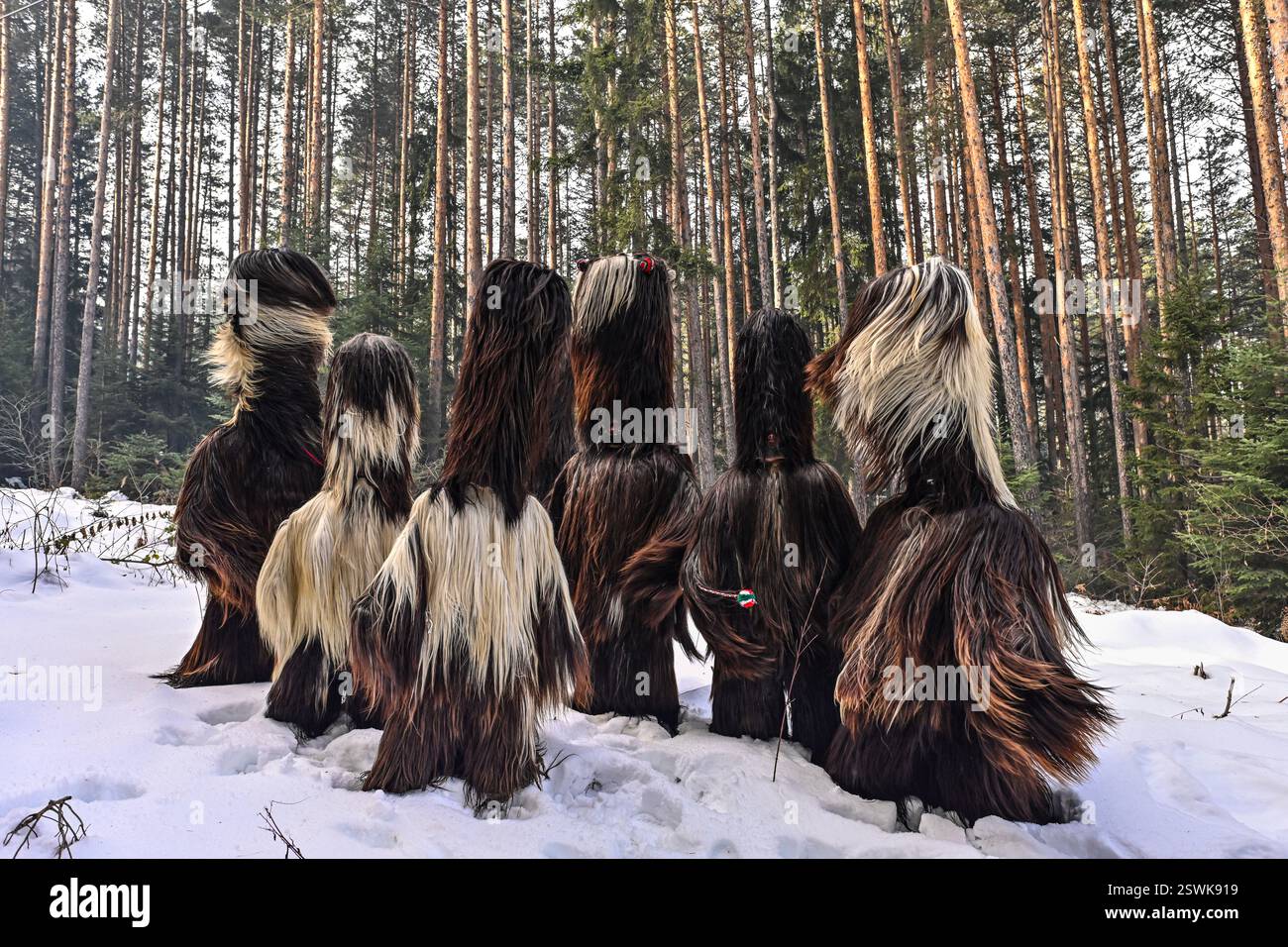 Traditional Kukeri performers dressed in thick long hair goat fur ...
