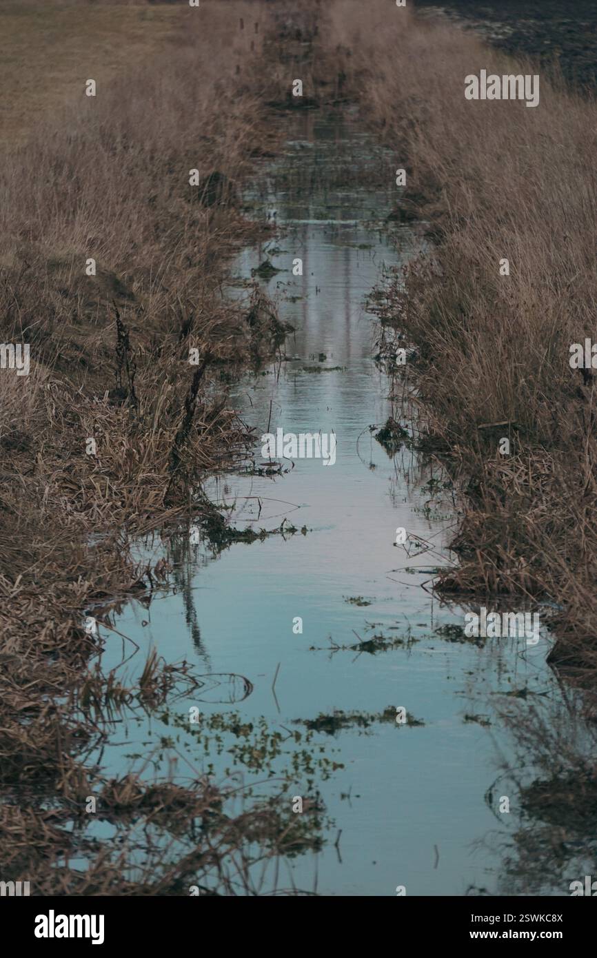 Grass mud ditch hi-res stock photography and images - Alamy