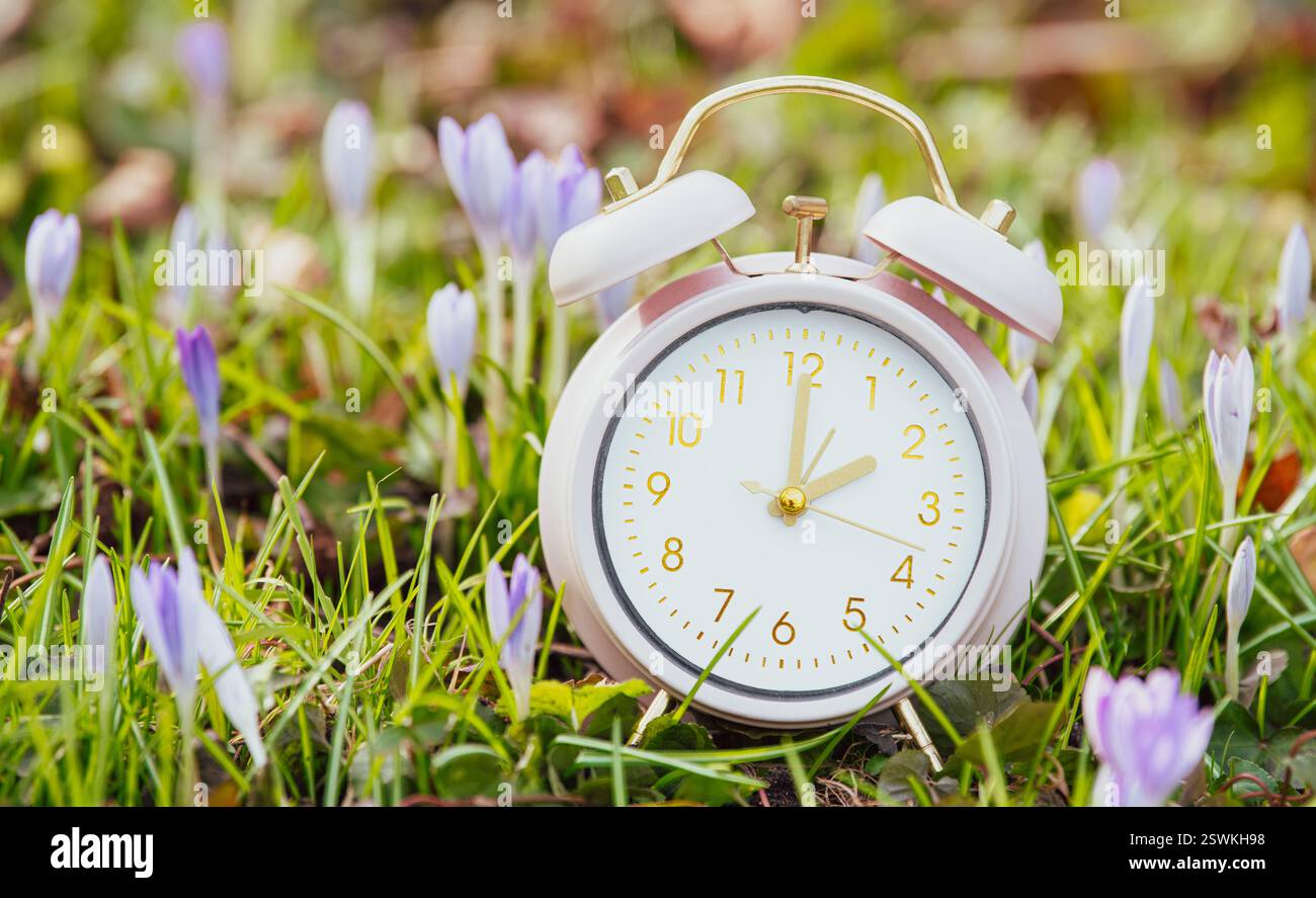 Alarm clock with crocus flowers, switch to daylight saving time in ...