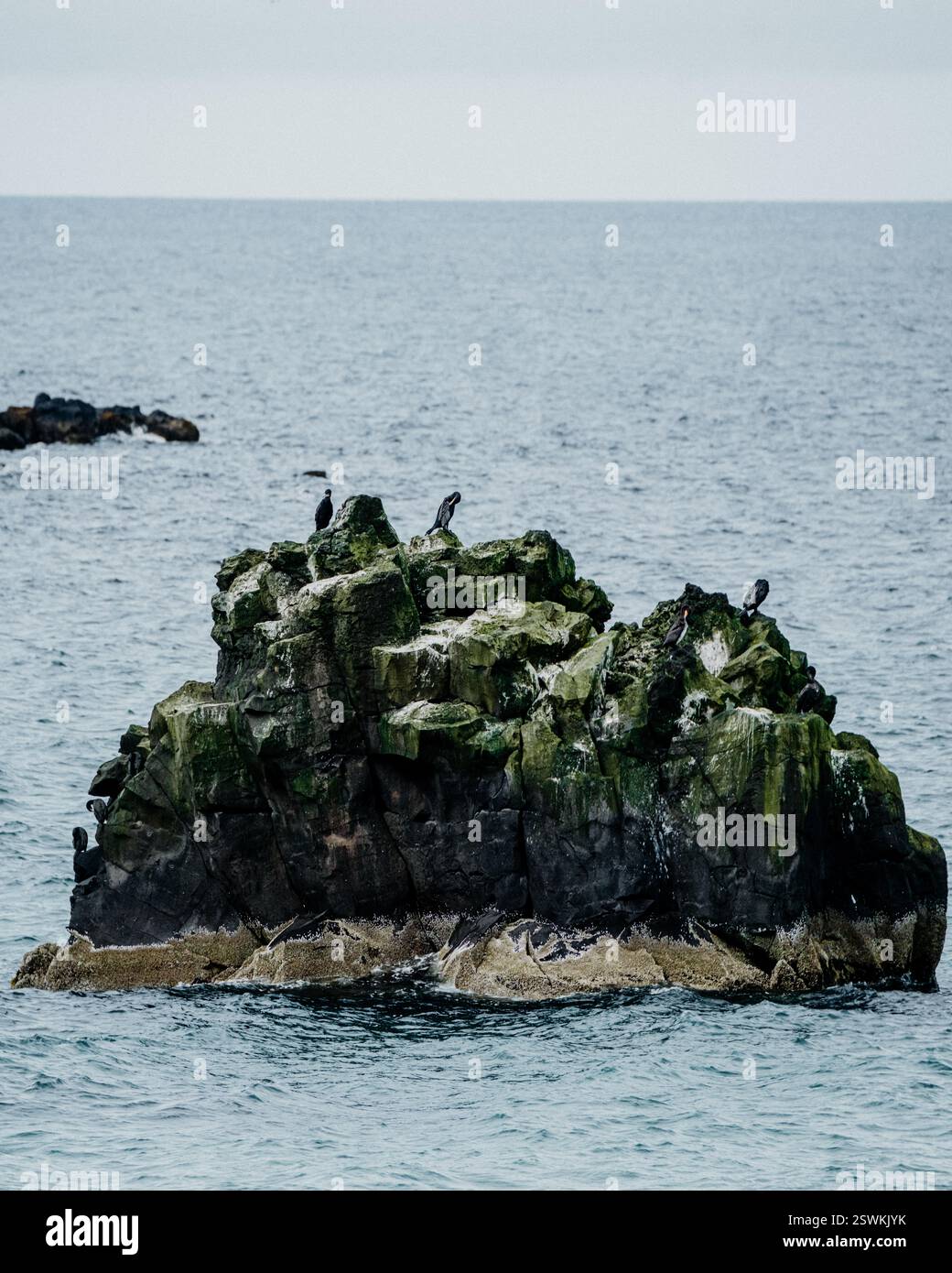 Rocky sea stack with cormorants near Skarðsvík Beach in Snæfellsnes ...