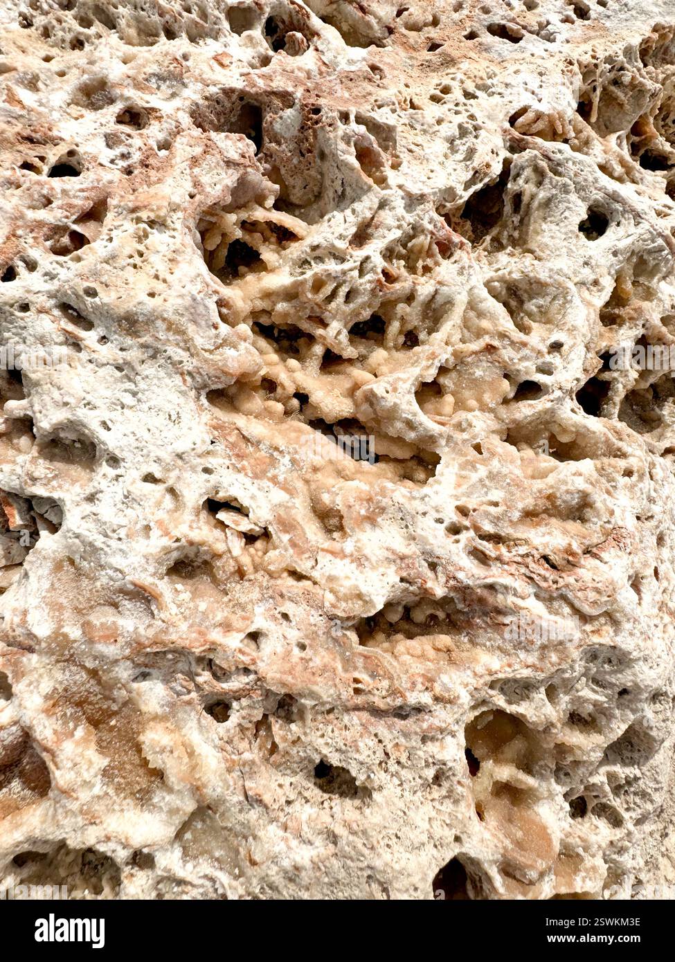 Close-up view of a textured stone surface reveals intricate patterns ...