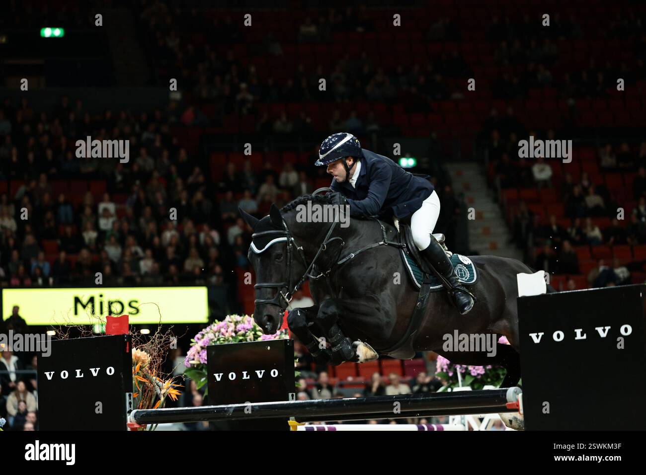 Robert Whitaker of United Kingdom with Vermento during the Prize of ...
