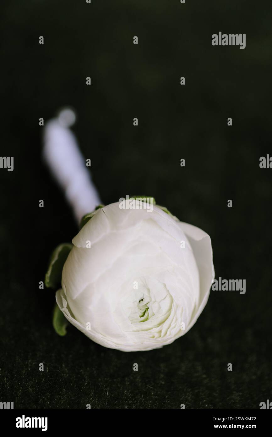 Sense of layered natural beauty hi-res stock photography and images - Alamy