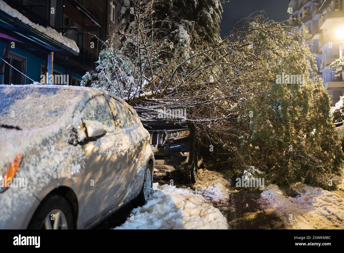 Snow-covered street blocked by fallen tree crushing an SUV, creating ...