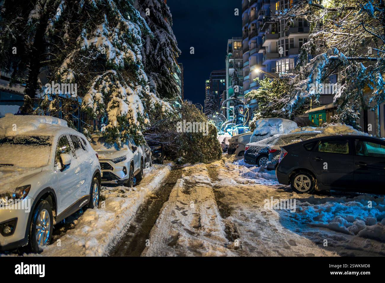 Massive snow-laden tree fell onto luxury SUV, crushing it under its ...