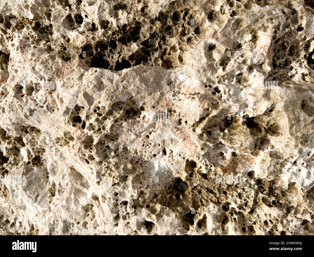 Close view of a rugged stone surface featuring distinct textures, holes ...