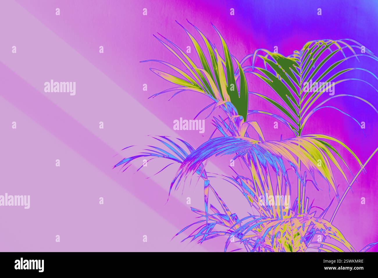 Vibrant neon palm leaves glowing in pink and blue futuristic lighting ...