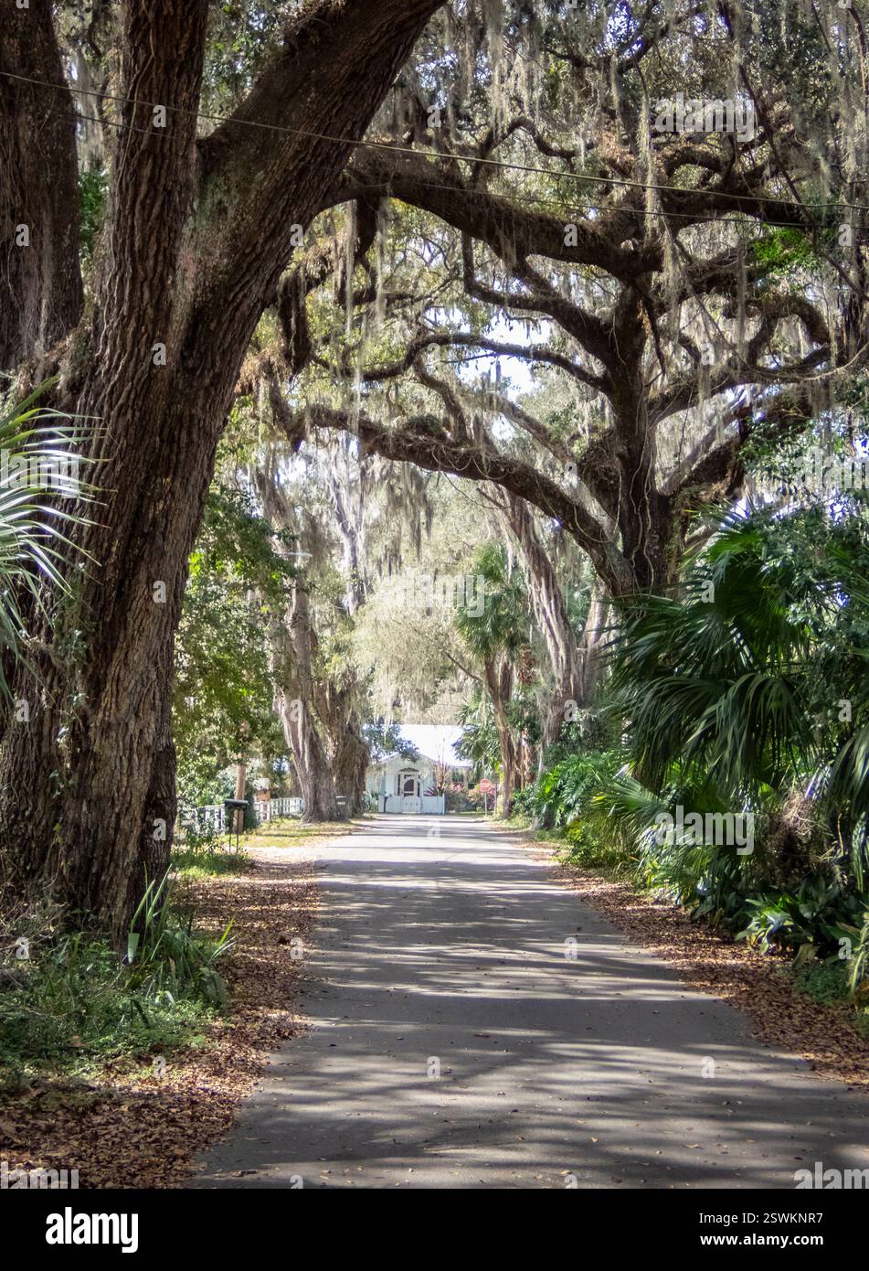 Connell Circle in the town of Micanopy in Alachua County is the oldest ...
