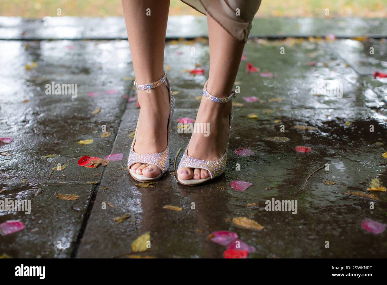 Wet high heels hi-res stock photography and images - Alamy
