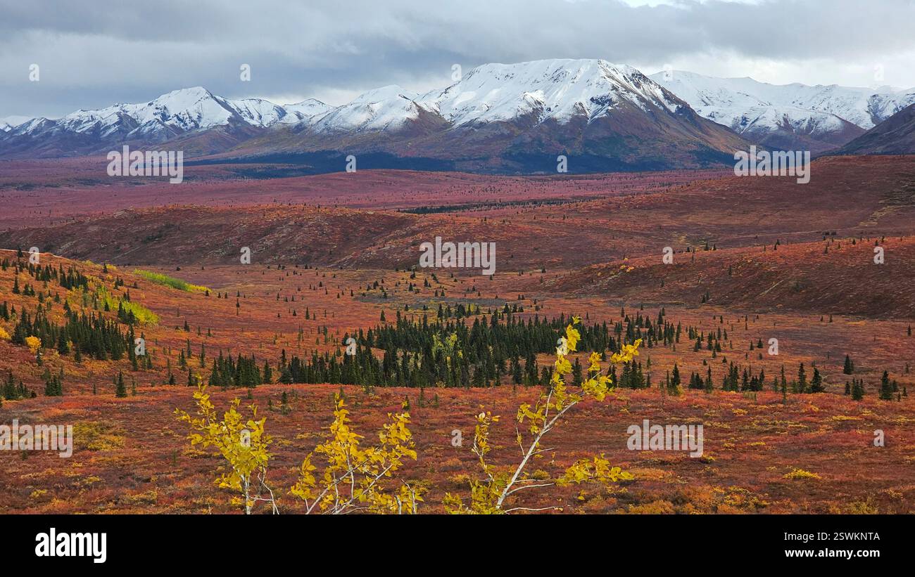 Mountain landscape in Alaska Stock Photo - Alamy