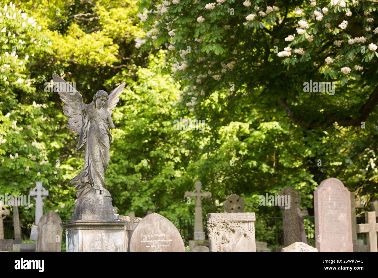 Stone angel statue on a grave in Putney Vale Cemetery and Crematorium ...