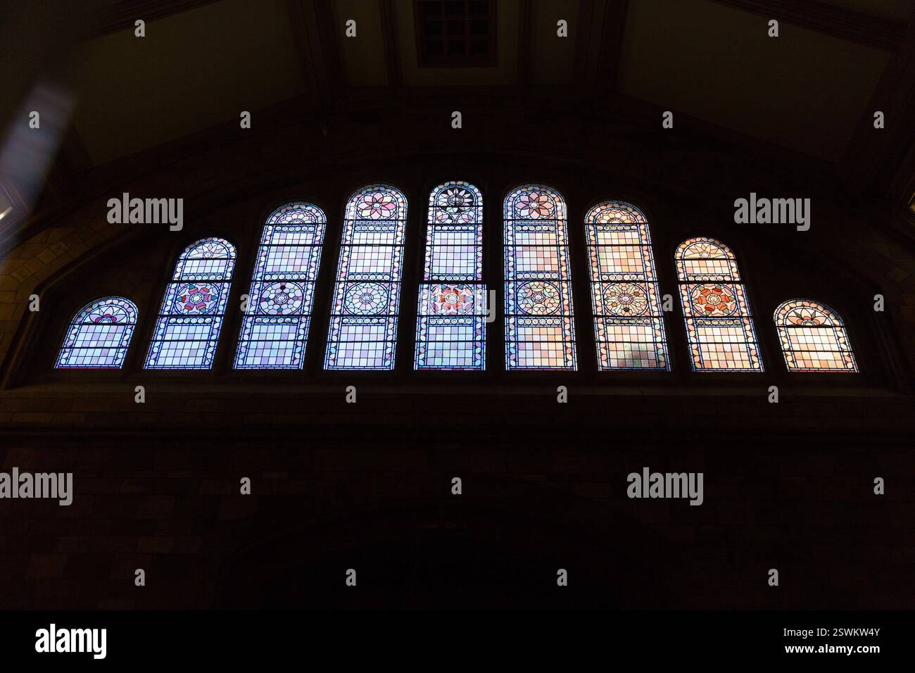 Stained glass windows, Natural History Museum Stock Photo - Alamy