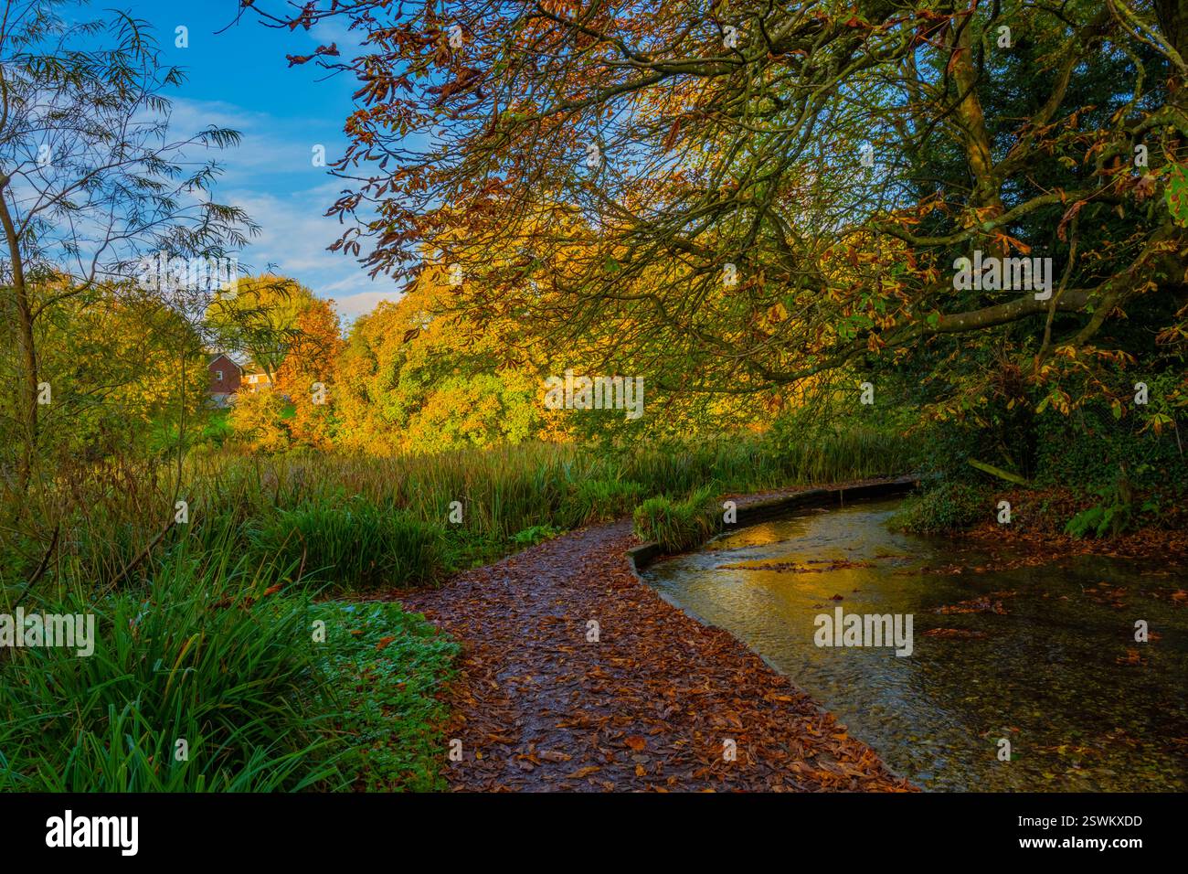 The old watercress beds on the River Wey at Alton Hampshire Stock Photo ...