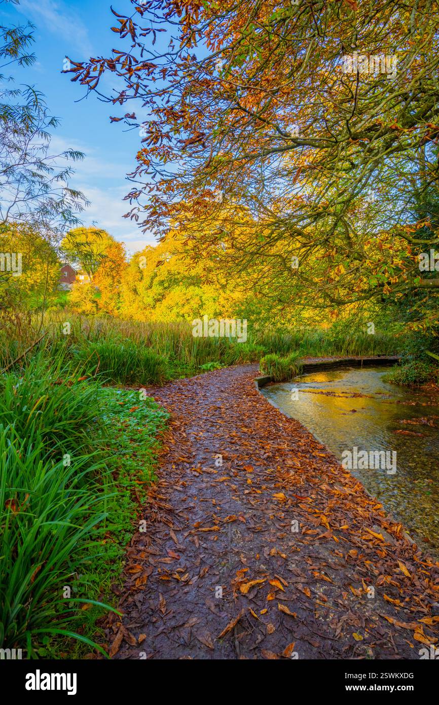 The old watercress beds on the River Wey at Alton Hampshire Stock Photo ...