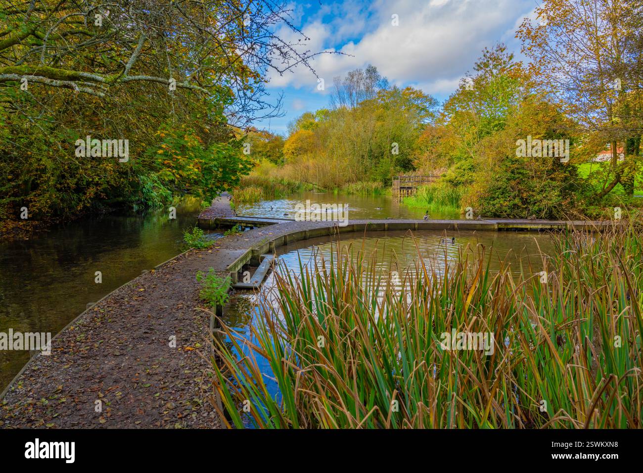 The old watercress beds on the River Wey at Alton Hampshire Stock Photo ...