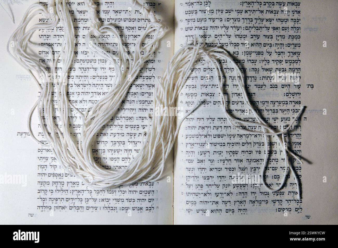 Tzitzit or tsitsiyot knotted ritual fringes or tassels of a Talit ...