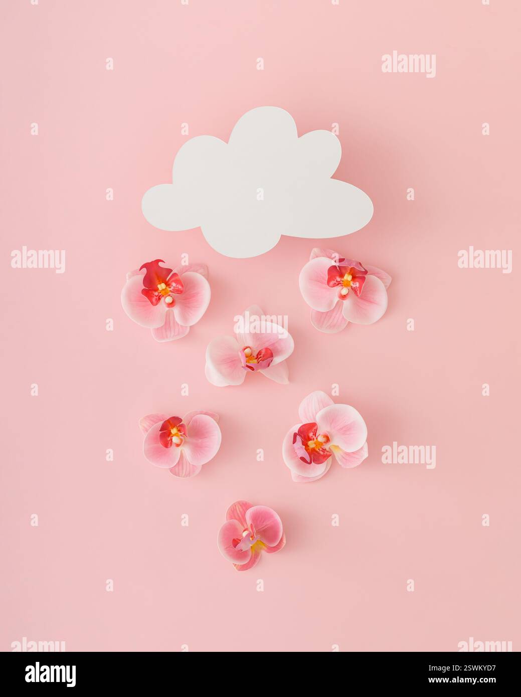 Creative spring and summer layout made of cloud shape paper card note ...