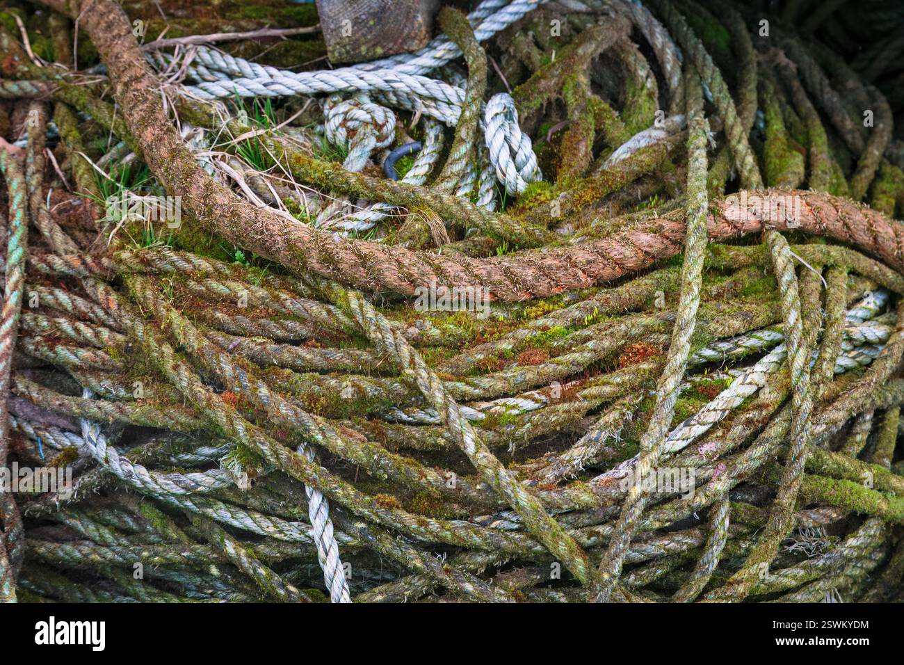 Fishing Industry, ropes, lobster pots, buoys etc Stock Photo - Alamy