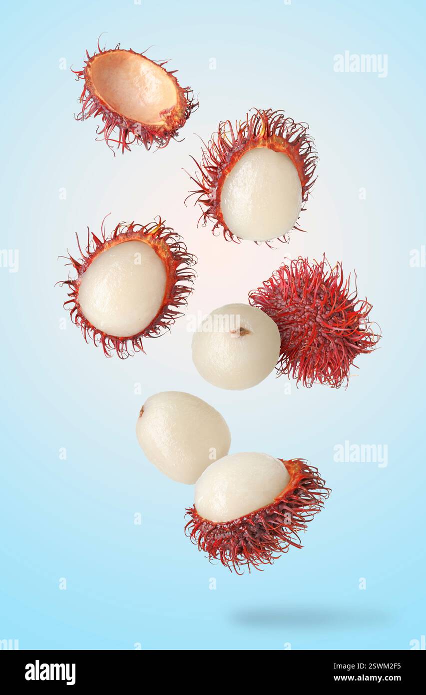 Fresh rambutan fruits in air on light blue gradient background Stock ...