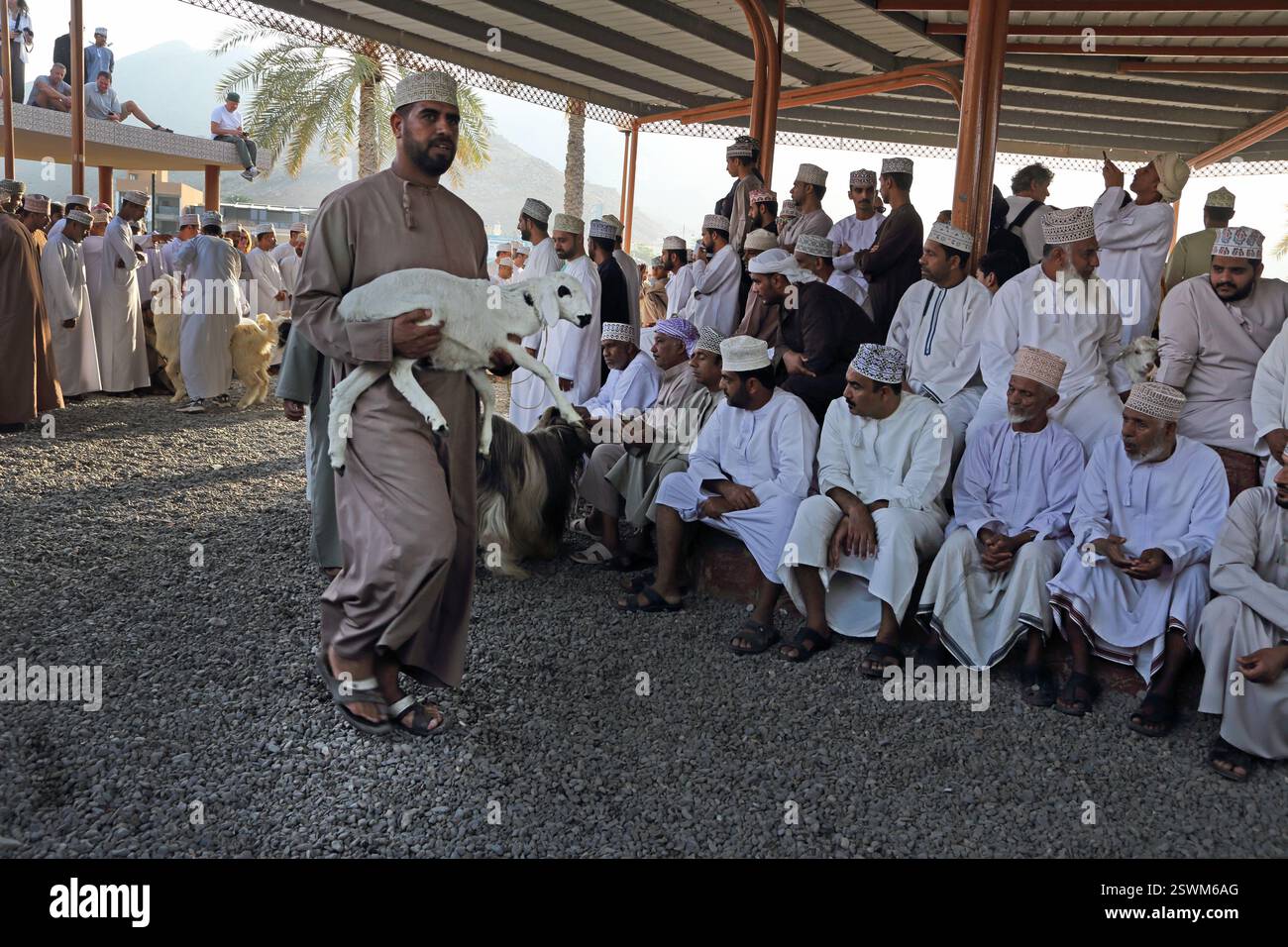 Omani Man Carrying Goat around Parade Ring at Nizwa Livestock Market ...