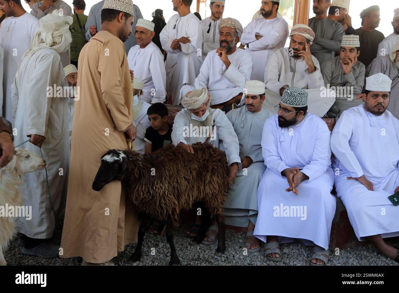 Omani Man wearing Face Mask Looking at Goat at Nizwa Livestock Market ...