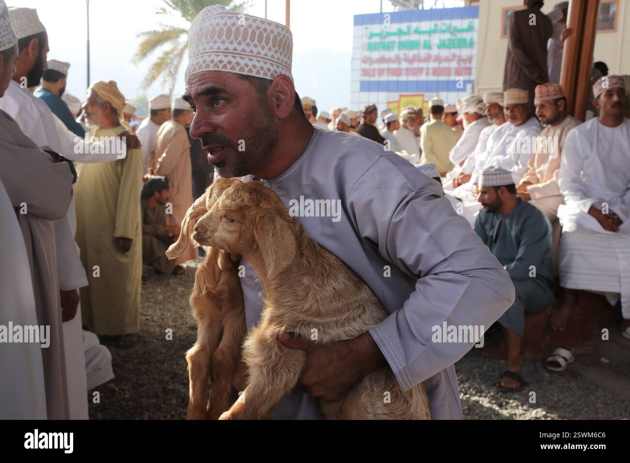 Carrying baby goats hi-res stock photography and images - Alamy