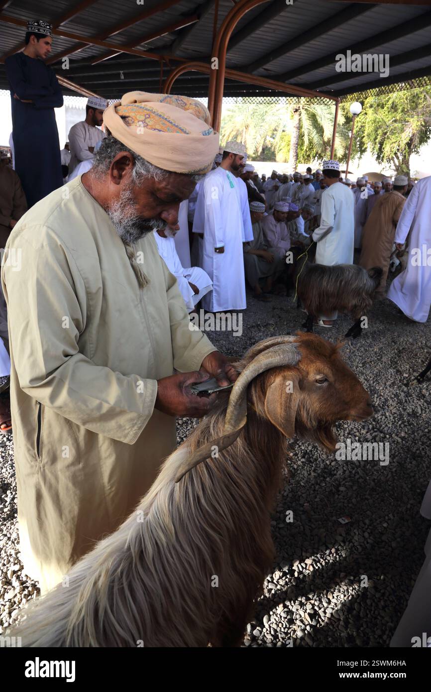 Omani Man Buying Goat at Nizwa Livestock Market Nizwa Oman Stock Photo ...