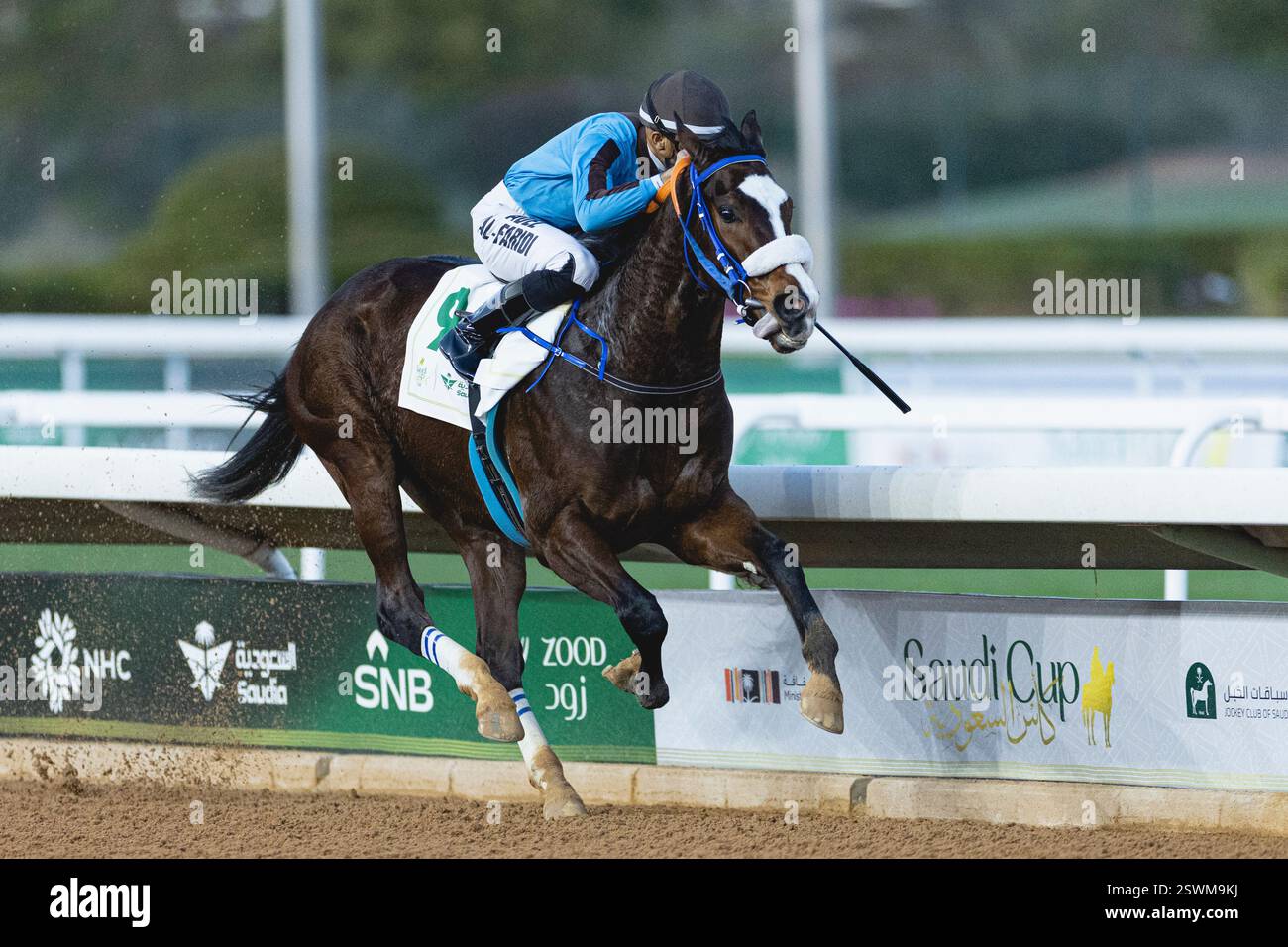 February 21, 2025, Riyadh, USA: Honky Tonk Man (2) ridden by Oisin ...