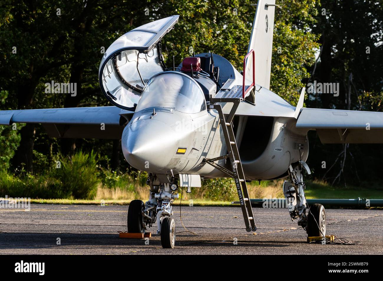 Italian Air Force Alenia Aermacchi T-346A Master light attack jet from ...