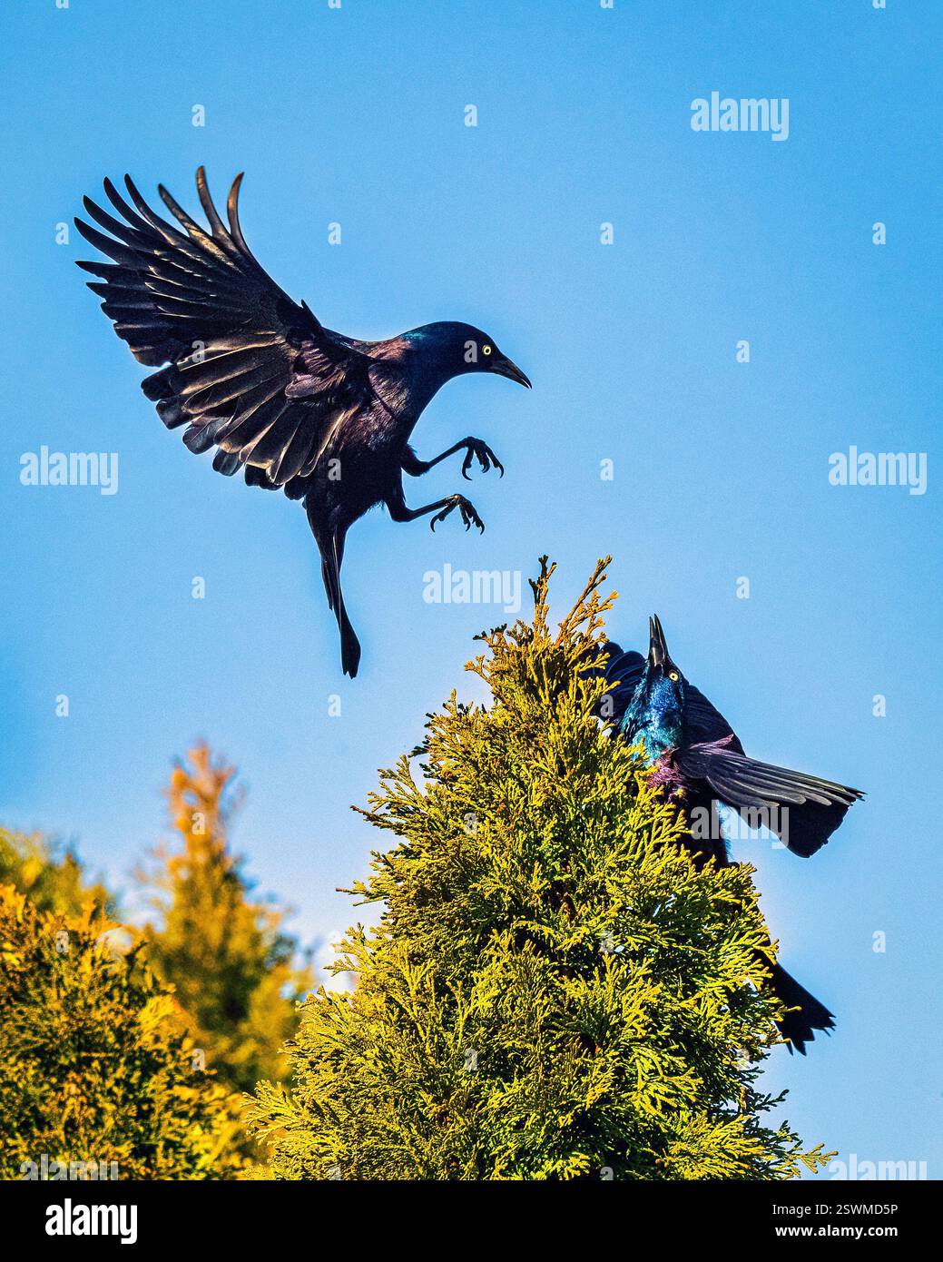 Dynamic birds eye hi-res stock photography and images - Alamy