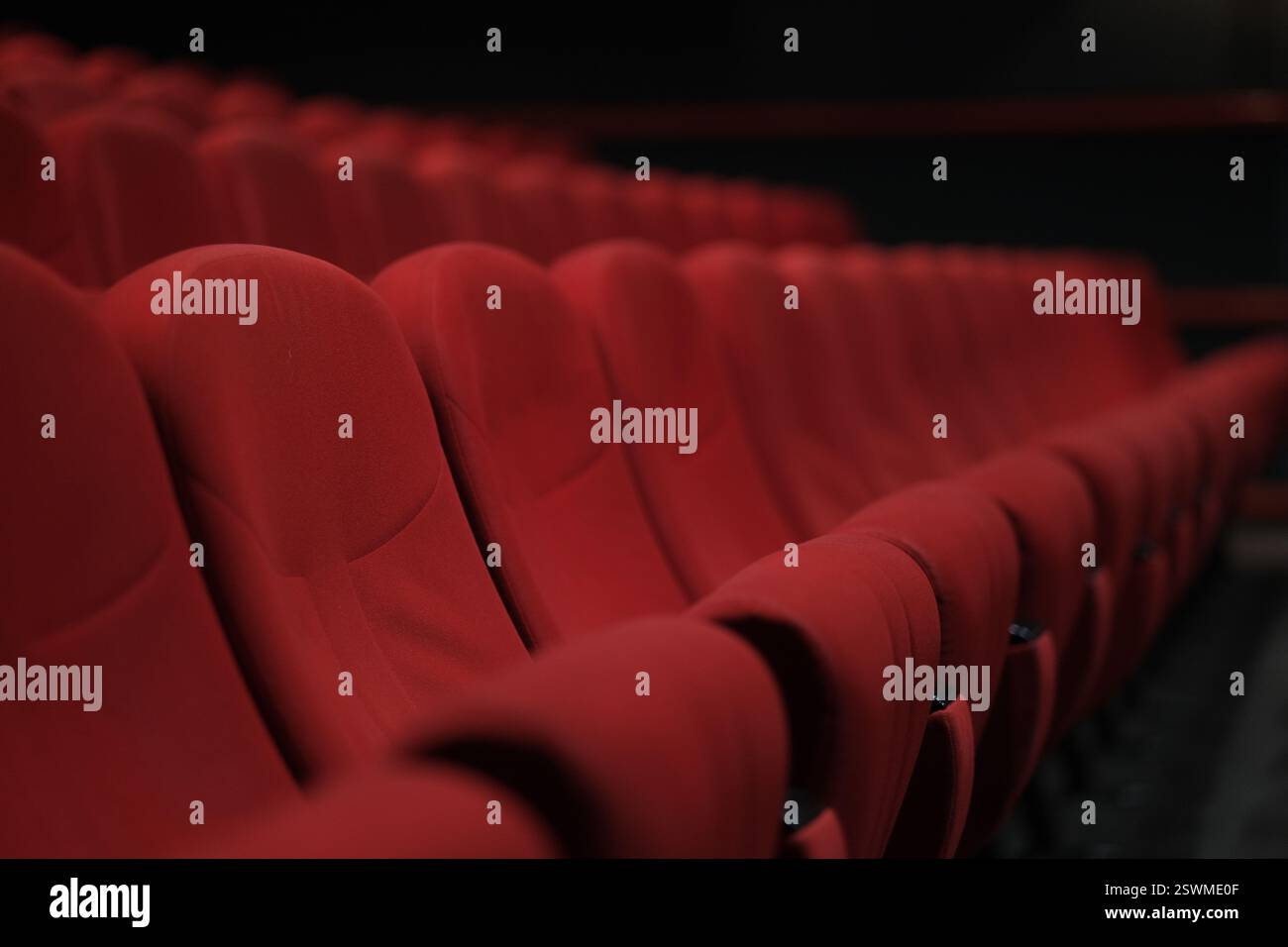 Rows of Red Seats: An intimate look at rows of plush red seating ready ...