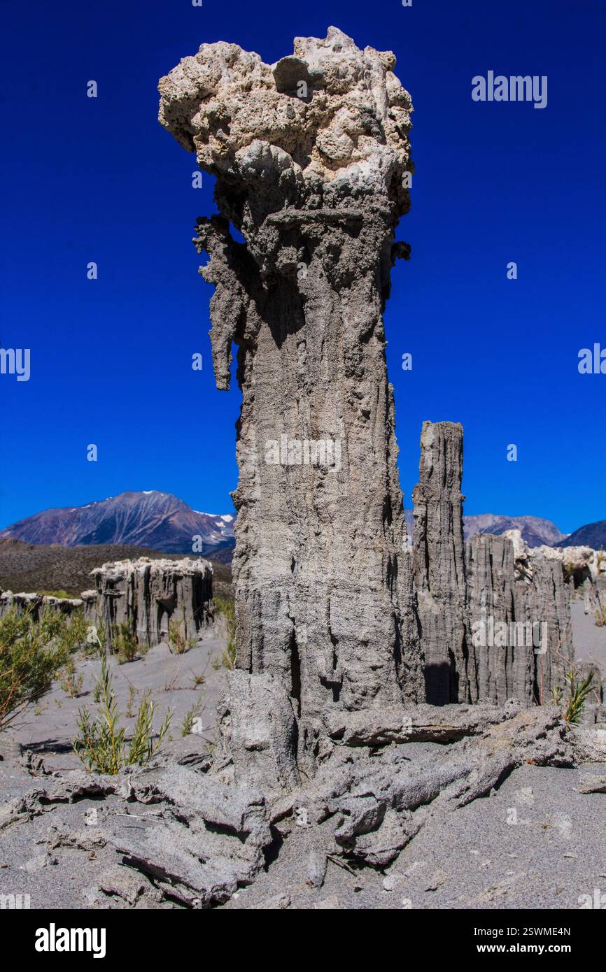 Large rock with a lot of cracks and holes. The rock is surrounded by a ...
