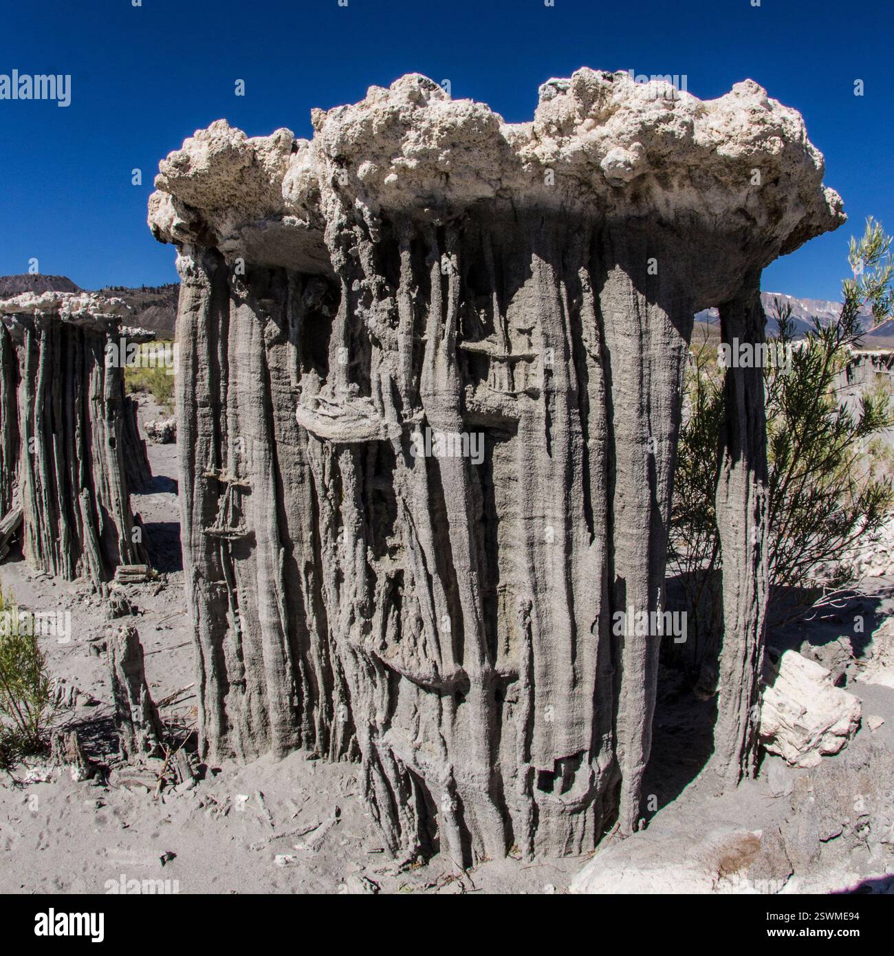 Large rock formation with a white cap. The rock is covered in moss and ...