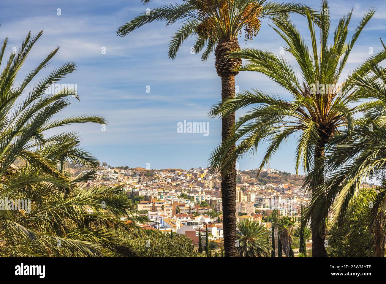 Malaga, seaside city in Andalusia, Spain, Europe. Palm trees frame a ...