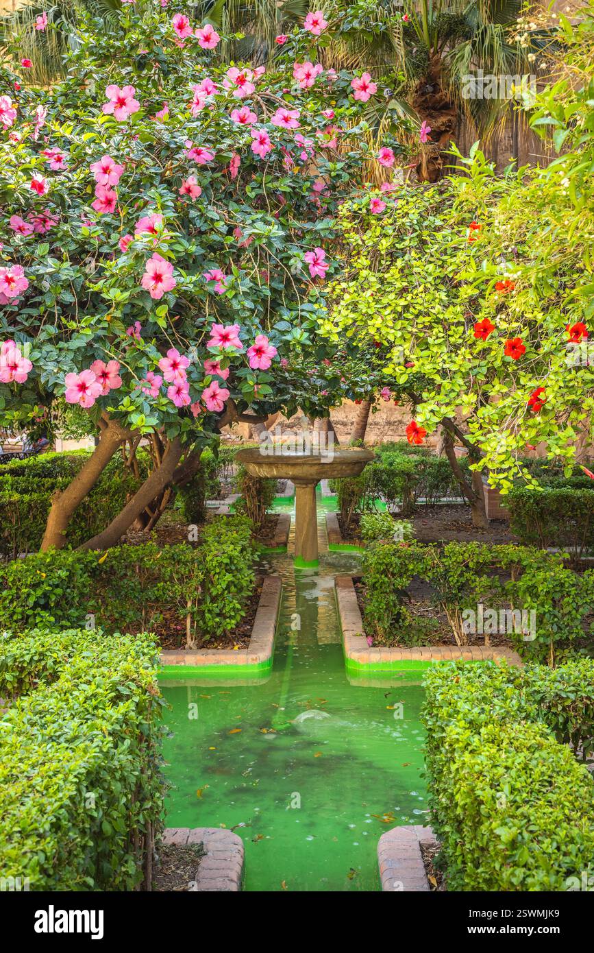 Malaga spain city spring hi-res stock photography and images - Alamy