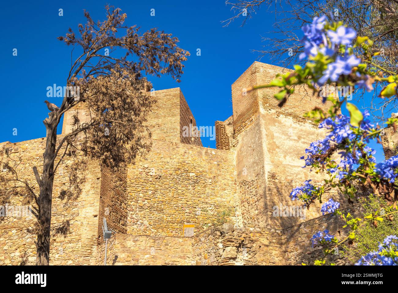 Alcazaba, palace and fortification in Malaga city at Andalusia, Spain ...