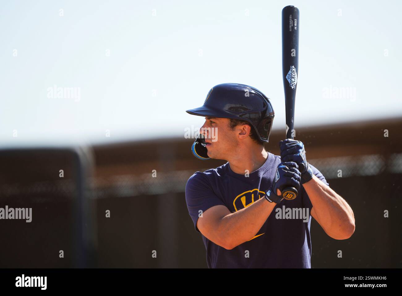 Milwaukee Brewers right fielder Sal Frelick takes live batting practice ...