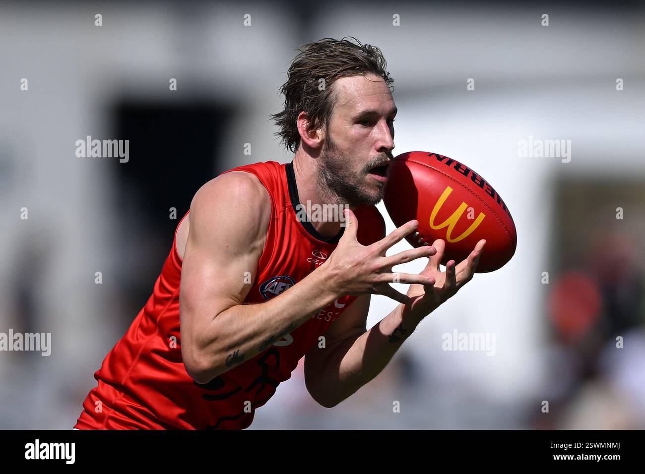 Jimmy Webster of St Kilda marks the footy during the AFL match ...
