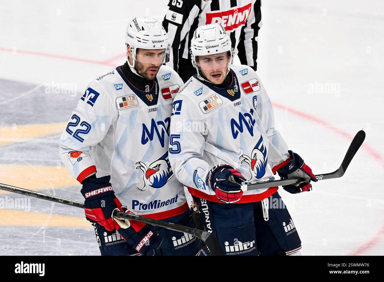 Eishockey DEL - 24/25 - 47. Spieltag: Düsseldorfer EG vs Adler Mannheim ...