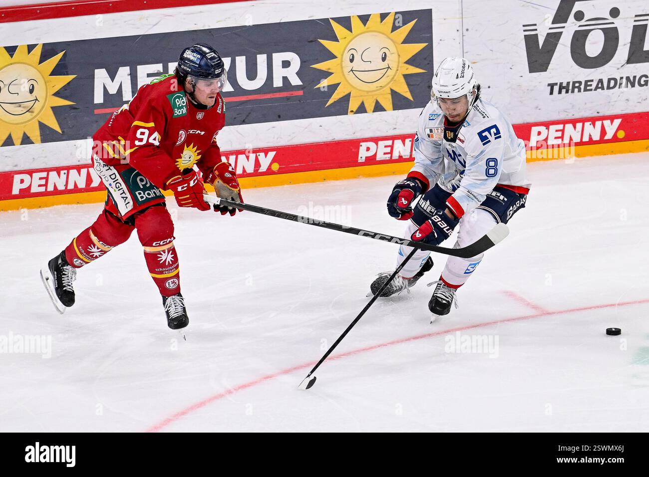 Eishockey DEL - 24/25 - 47. Spieltag: Düsseldorfer EG vs Adler Mannheim ...
