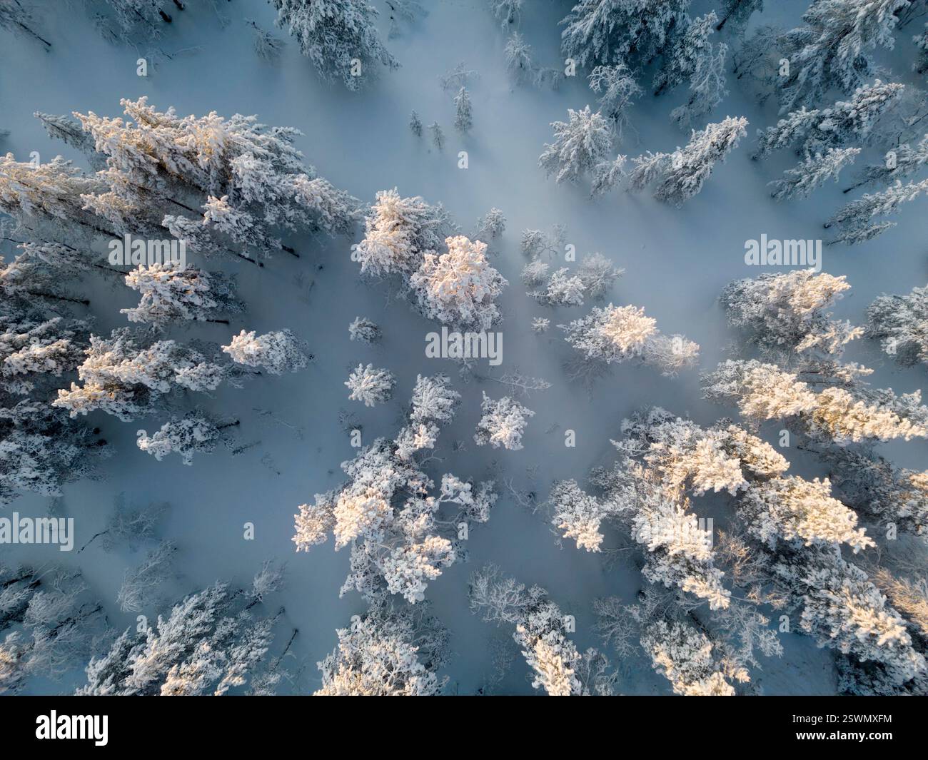 Aurora Borealis seen at lake Inari, Northern Finland Stock Photo - Alamy