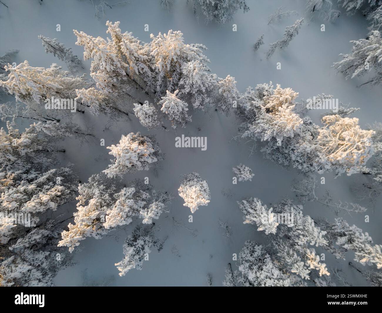 Aurora Borealis seen at lake Inari, Northern Finland Stock Photo - Alamy